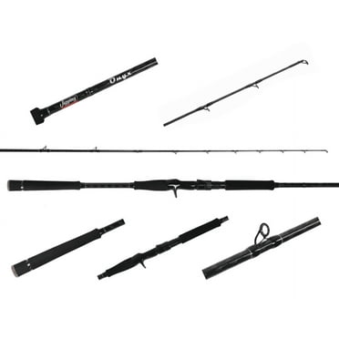 Jigging World JW-OX701S-H Onyx Inshore Spinning Rod 7' 2-6oz 20-40lb ...