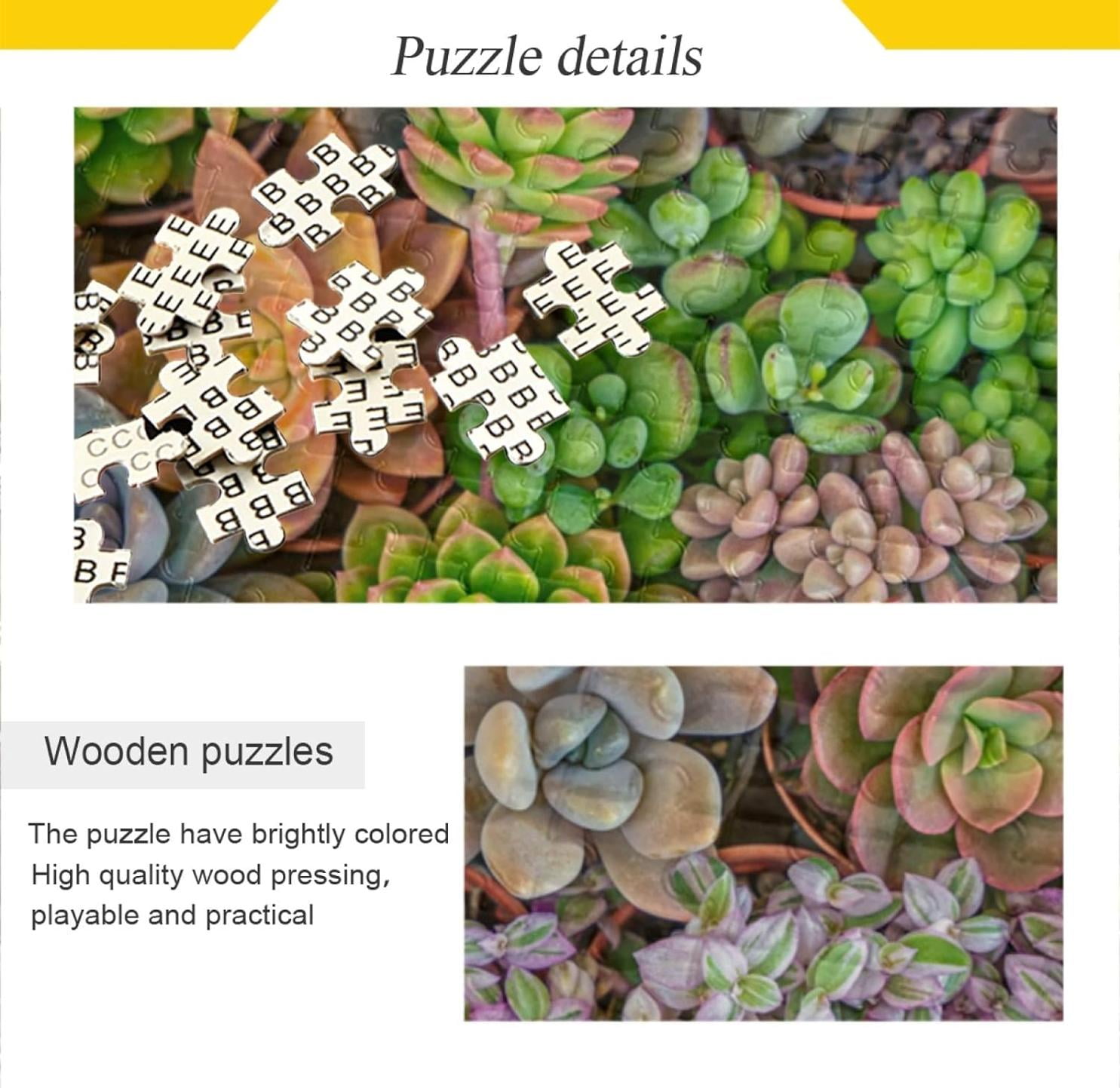 Jigsaw Puzzle 1000 Piece Colorful Succulent Plants Green Wooden Puzzle ...