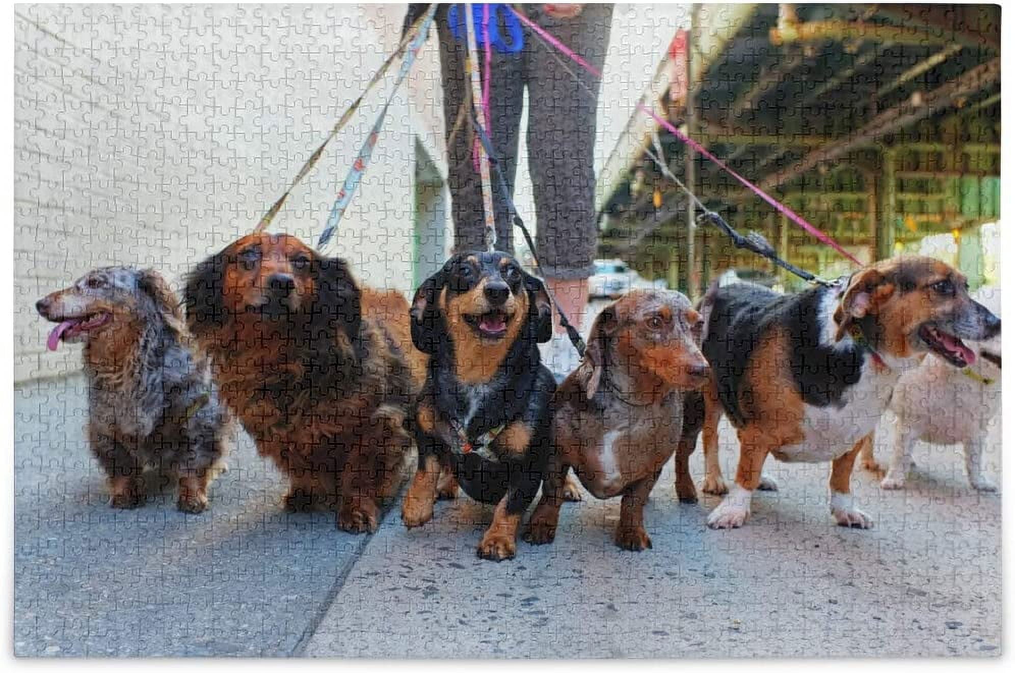 Jigsaw Puzzle 1000 Pieces for Adults Dachshund Wooden Puzzle for ...