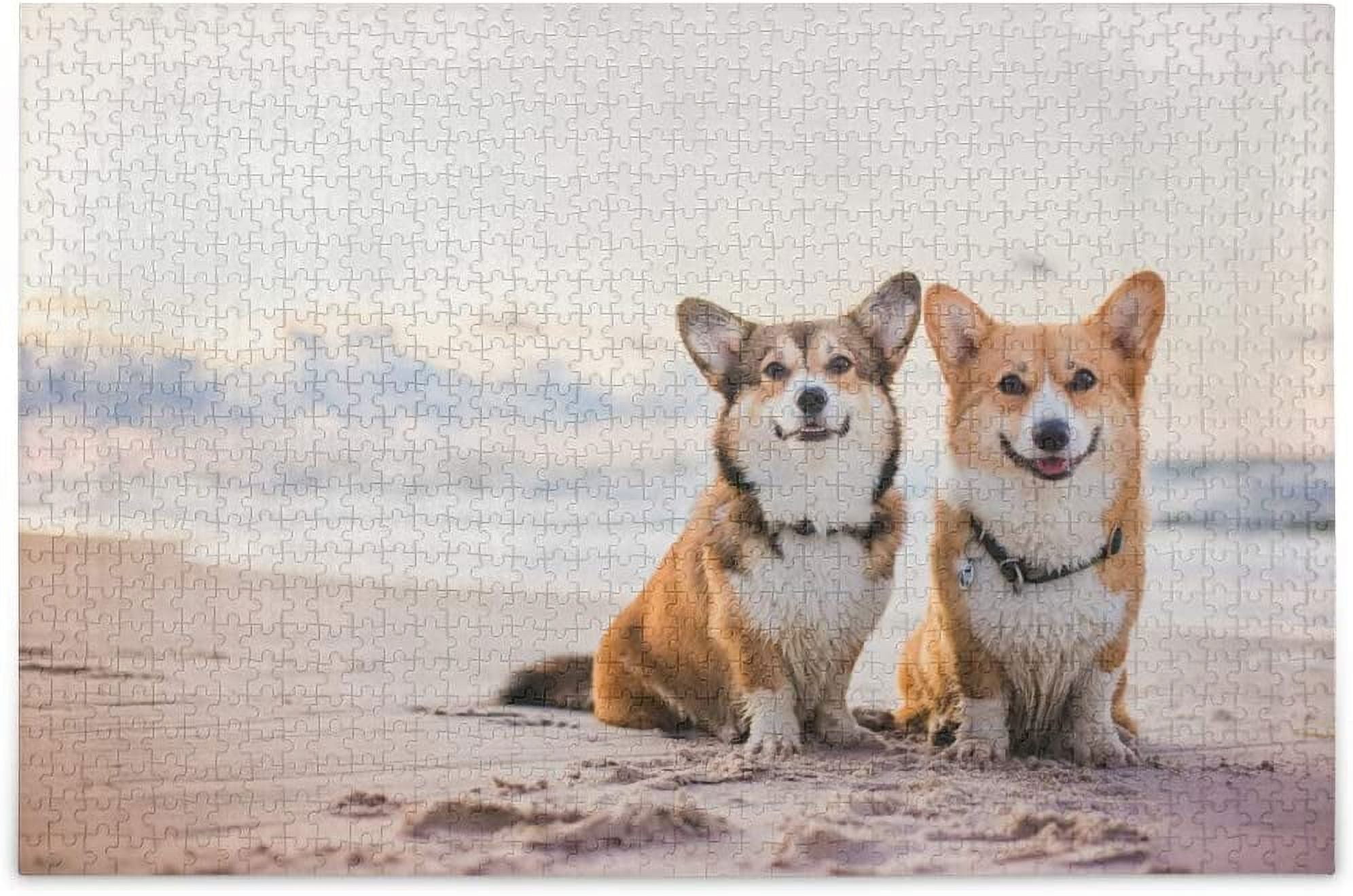 Jigsaw Puzzle 500 Piece for Adults Kids, Two Welsh Corgi Pembroke Dogs ...