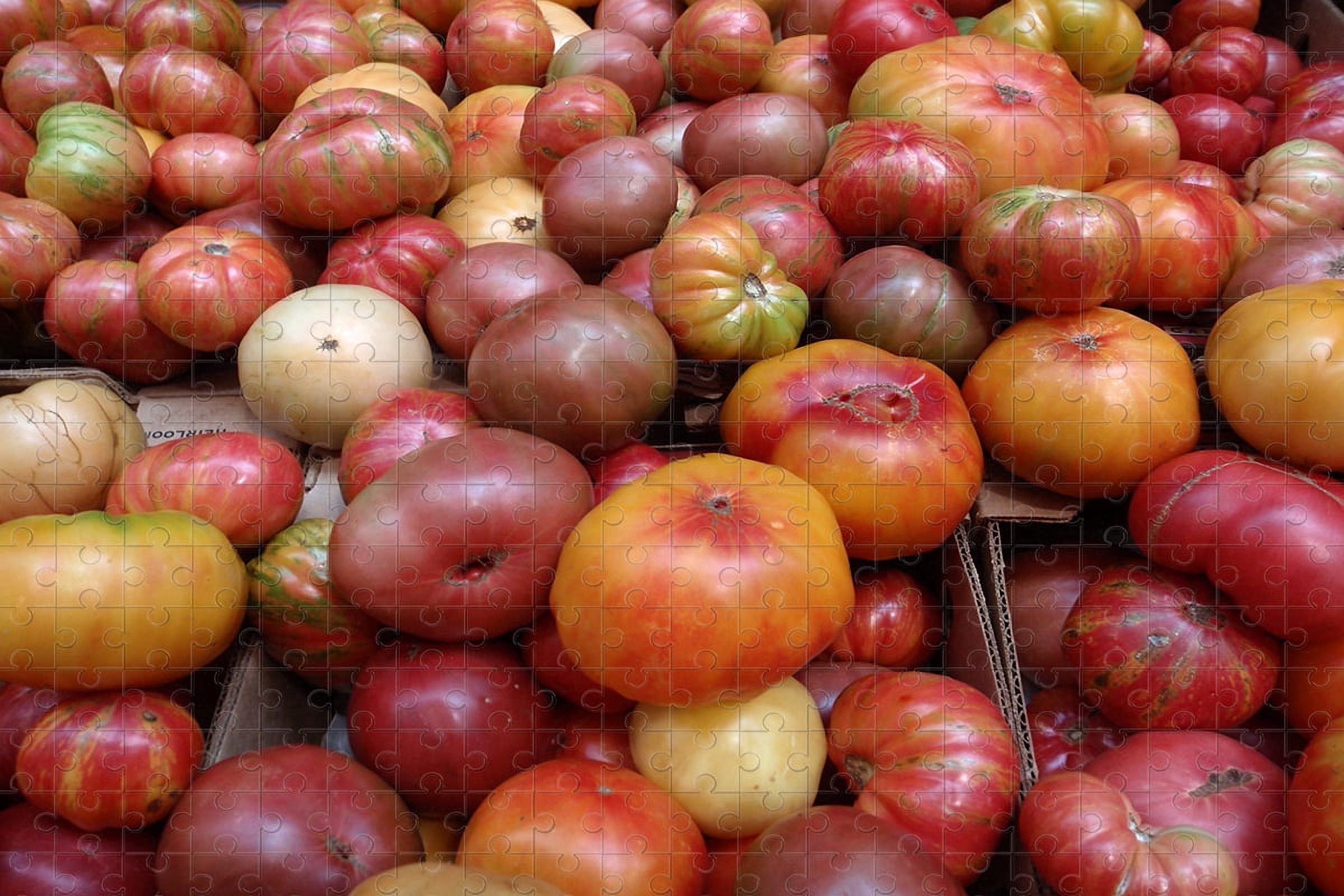 Jigsaw Puzzle 500 Pieces Bunch Of Multi Colored Hierloom Tomatos Of All ...