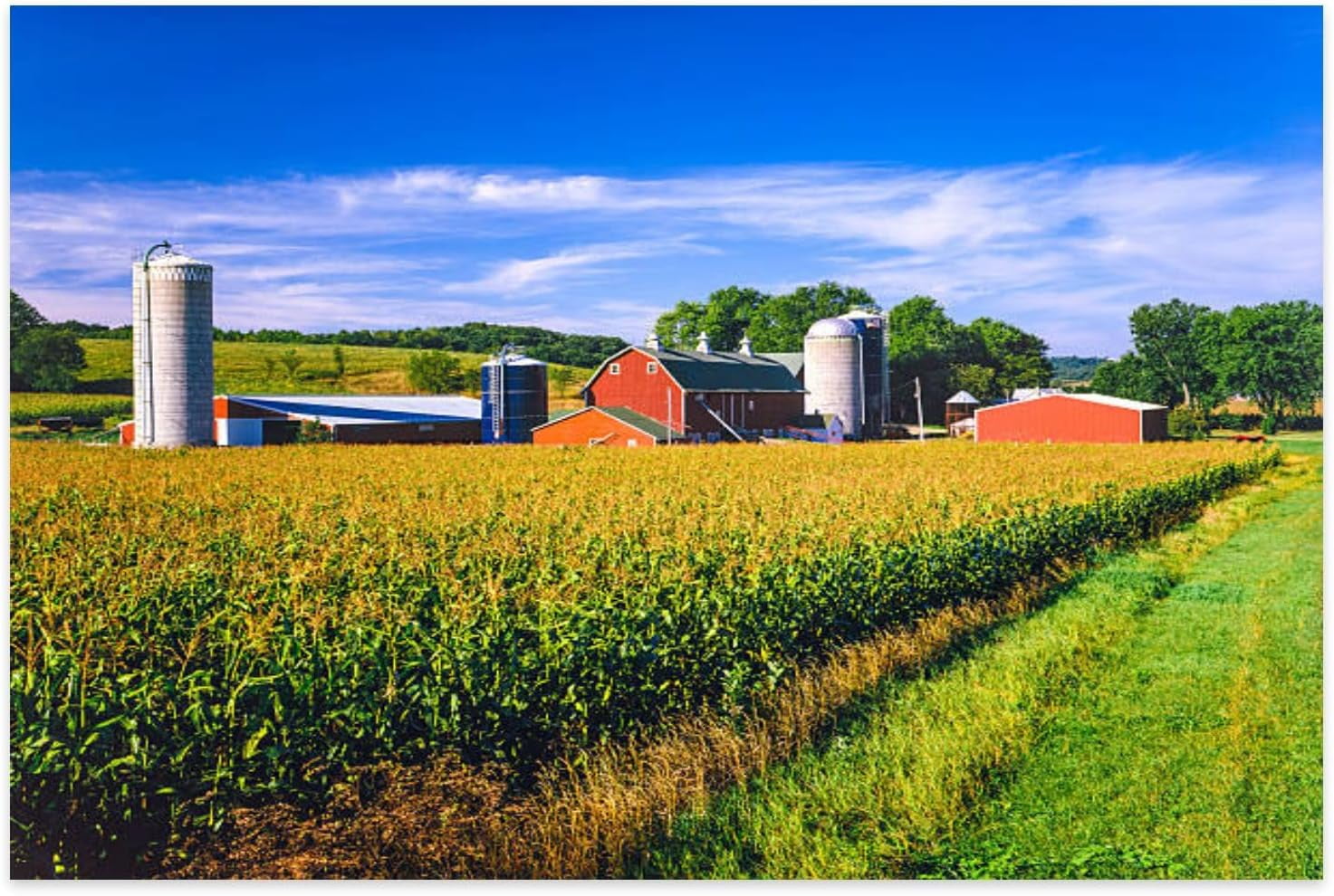 Jigsaw Puzzle 500 Pieces for Adults Corn Crop Iowa time Puzzles Gift ...