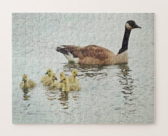 Jigsaw Puzzle for Adults - 1000 Piece - A Mother Goose and Her Baby ...
