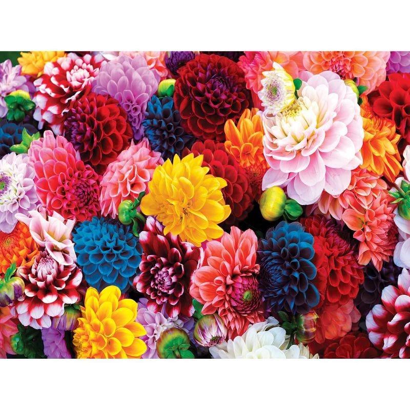 Jigsaw Puzzle for Adults - 1000 Piece - Beautiful Blooms Dahlia Jigsaw ...