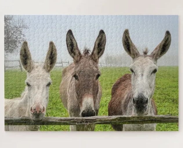 Jigsaw Puzzle for Adults - 1000 Piece - Cute Donkeys In Misty Paddock ...
