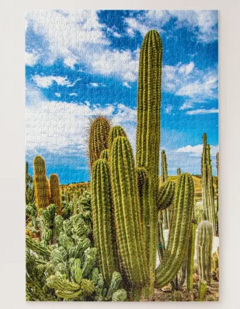Jigsaw Puzzle for Adults - 300 Piece - Cactus Desert Garden Floral ...
