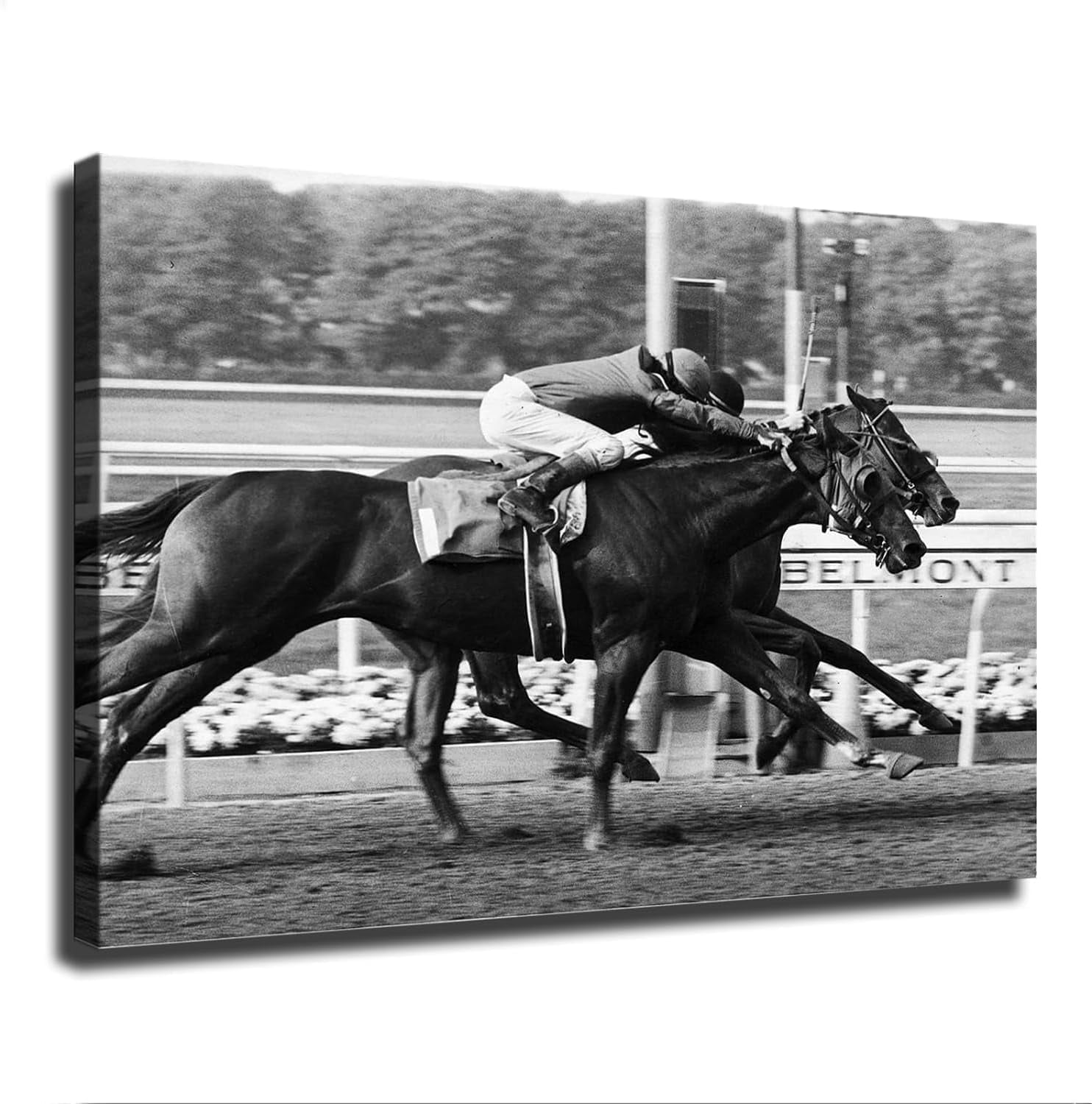 Jigsaw Puzzle for Adults -Secretariat Photo Horse Racing-Wooden Puzzles ...