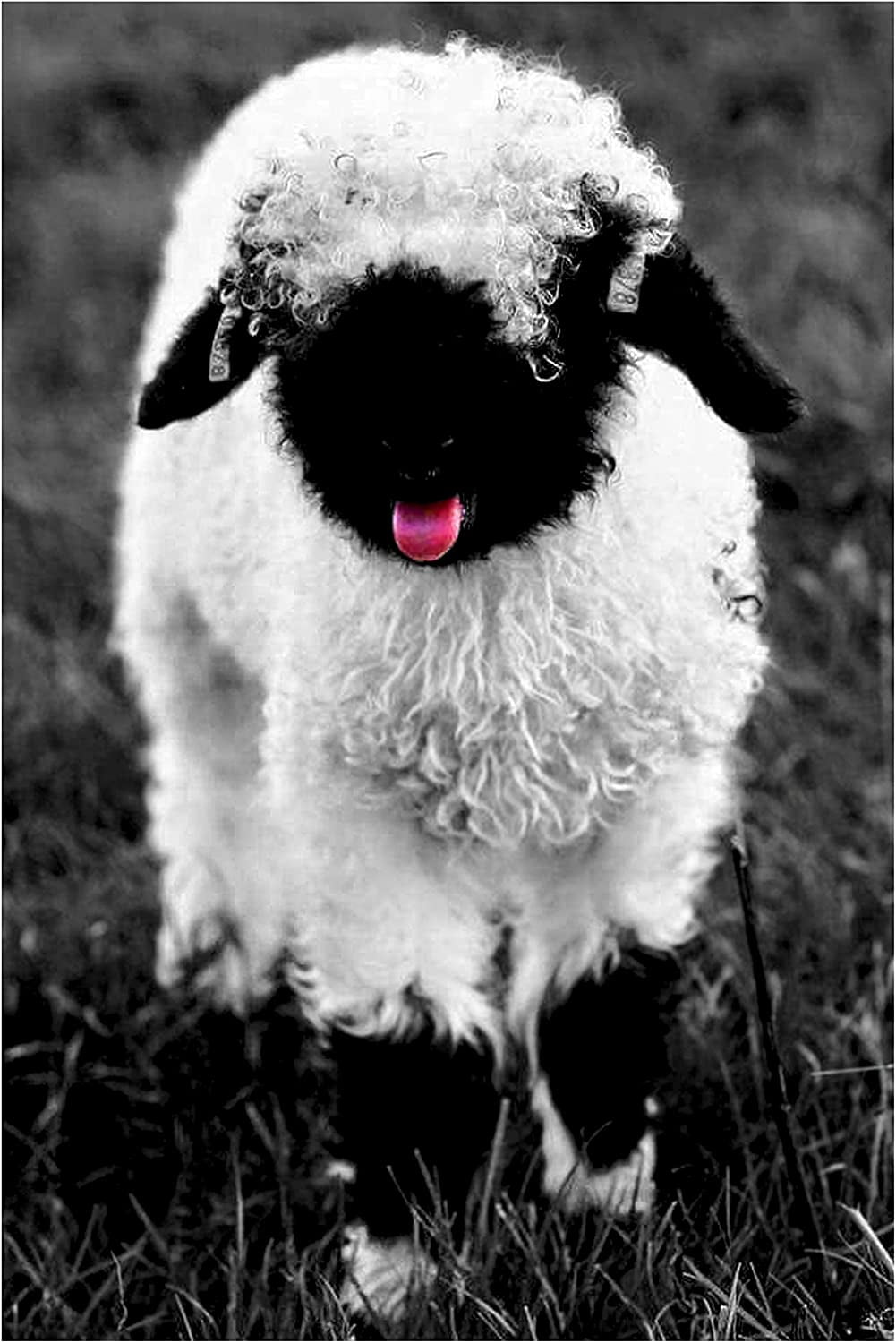 Jigsaw Puzzle for Adults - cute farm animals sheep -Wooden Puzzles, Holiday Jigsaw Puzzles for ...