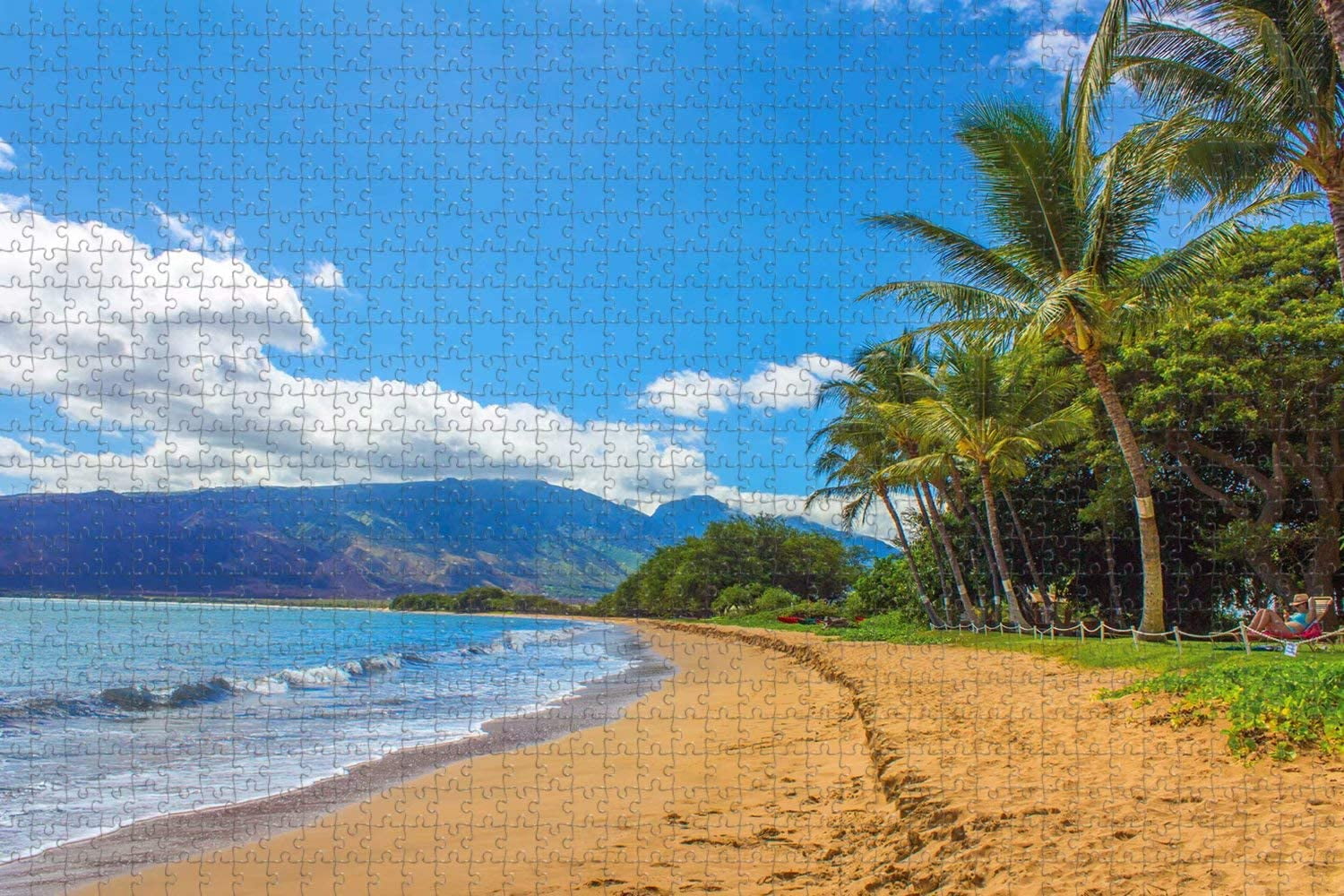 Jigsaw Puzzle for Adults 1000 Piece Beach Landscape Hawaii Maui Kihei ...