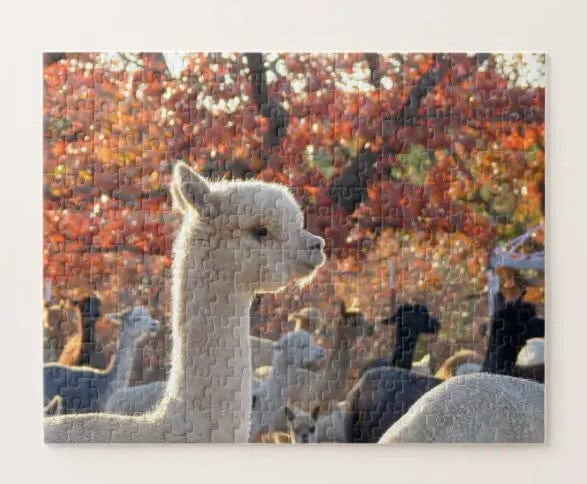 Jigsaw Puzzle for Adults - 300 Piece - Alpaca Jigsaw Puzzle, Autism ...