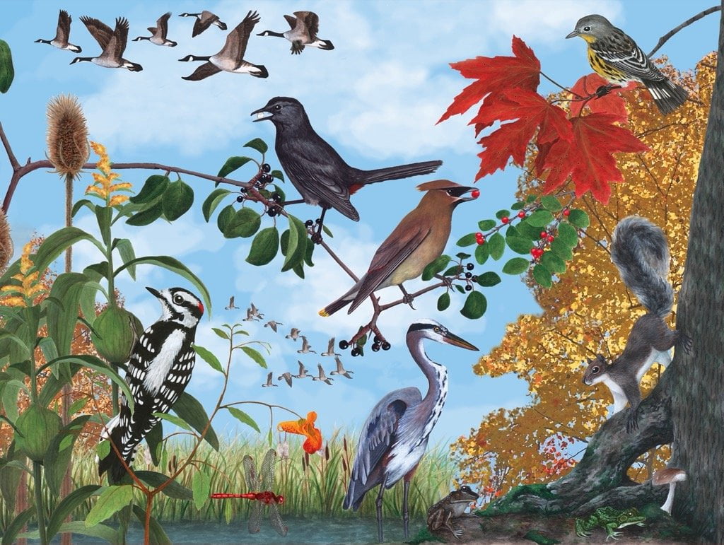 Jigsaw Puzzle for Adults 300 Piece Autumn Trail Wooden Puzzles 15.7 X ...