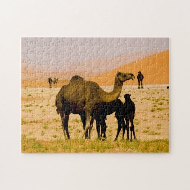 Jigsaw Puzzle for Adults - 500 Piece - Camel On The Desert Jigsaw ...