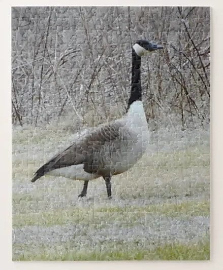 Jigsaw Puzzle for Adults - 500 Piece - Strolling Goose Jigsaw Puzzle ...