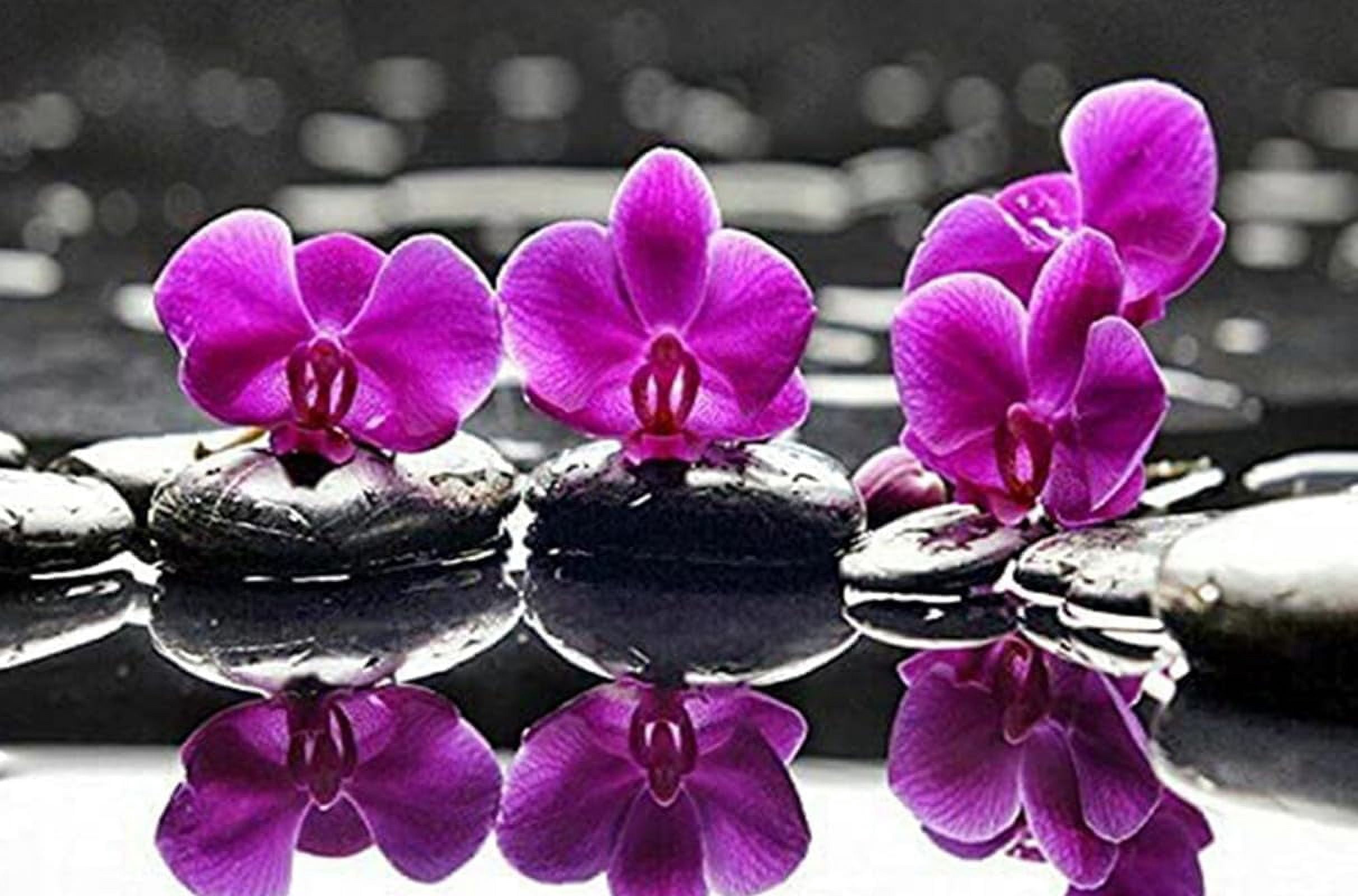 Jigsaw Puzzle for Adults, Orchids Flower Water and Stones Challenging ...
