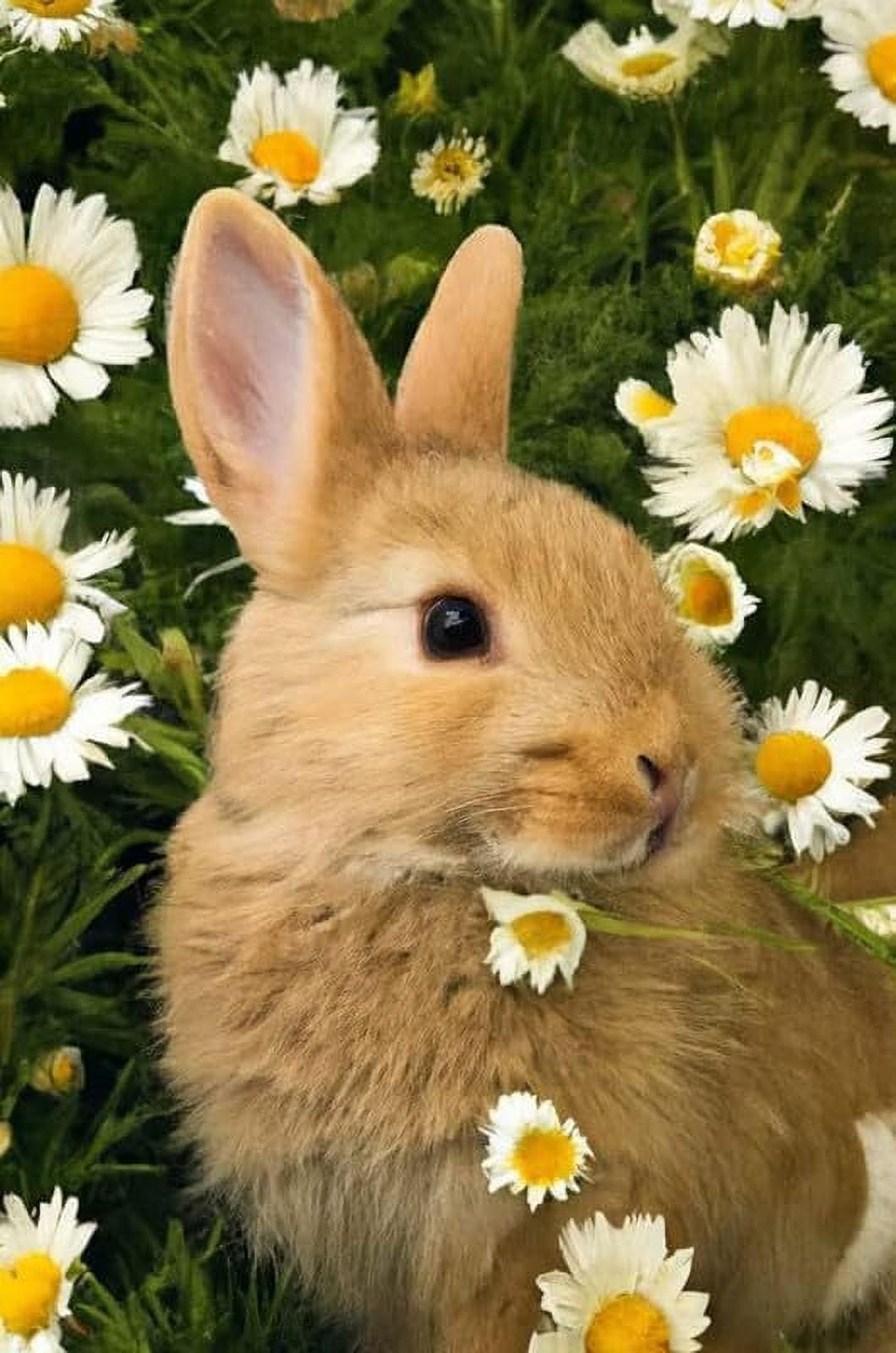 Jigsaw Puzzle for Adults, Rabbit Garden Challenging Educational Fun ...