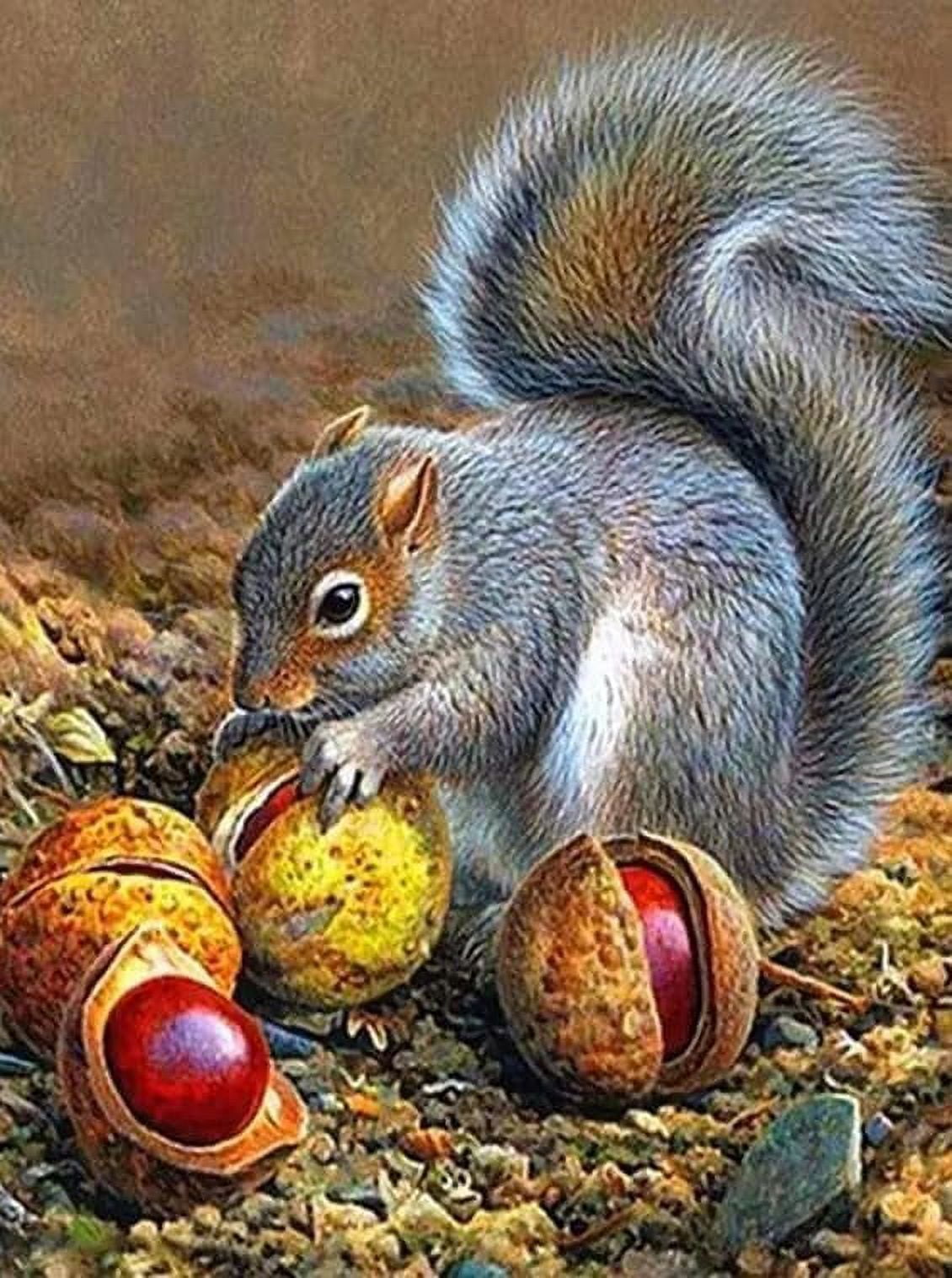Jigsaw Puzzle for Adults, Squirrel Nuts Challenging Educational Fun ...