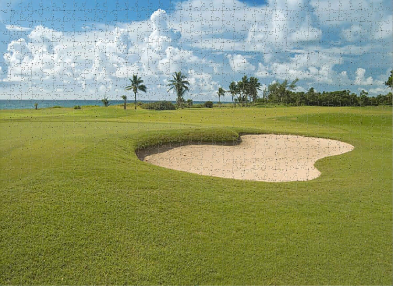 Jigsaw Puzzles 1000 Piece for Adultse Golf Florida State Palm Tree Sand ...