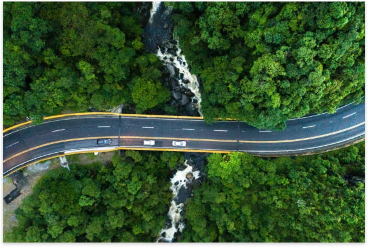 Jigsaw Puzzles 1000 Pieces for Adult View Road Forest Road Brazil ...