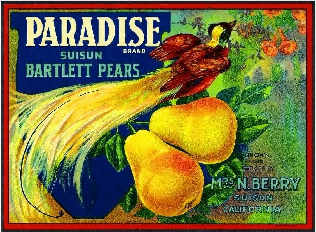 Jigsaw Puzzles 1000 Pieces Suisun California Paradise Beautiful Bird ...