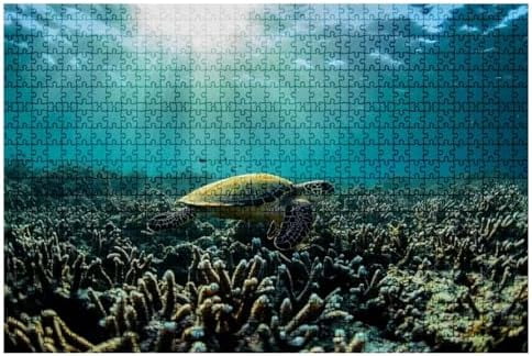 Jigsaw Puzzles 1000 Pieces for Adult Hawksbill sea Turtle Swimming ...
