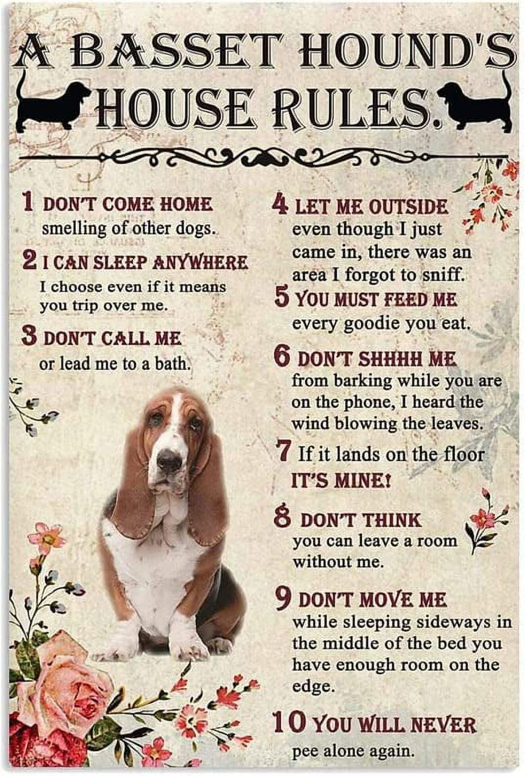 Jigsaw Puzzles 200 Piece For Adults - A Basset Hound's House Rules ...
