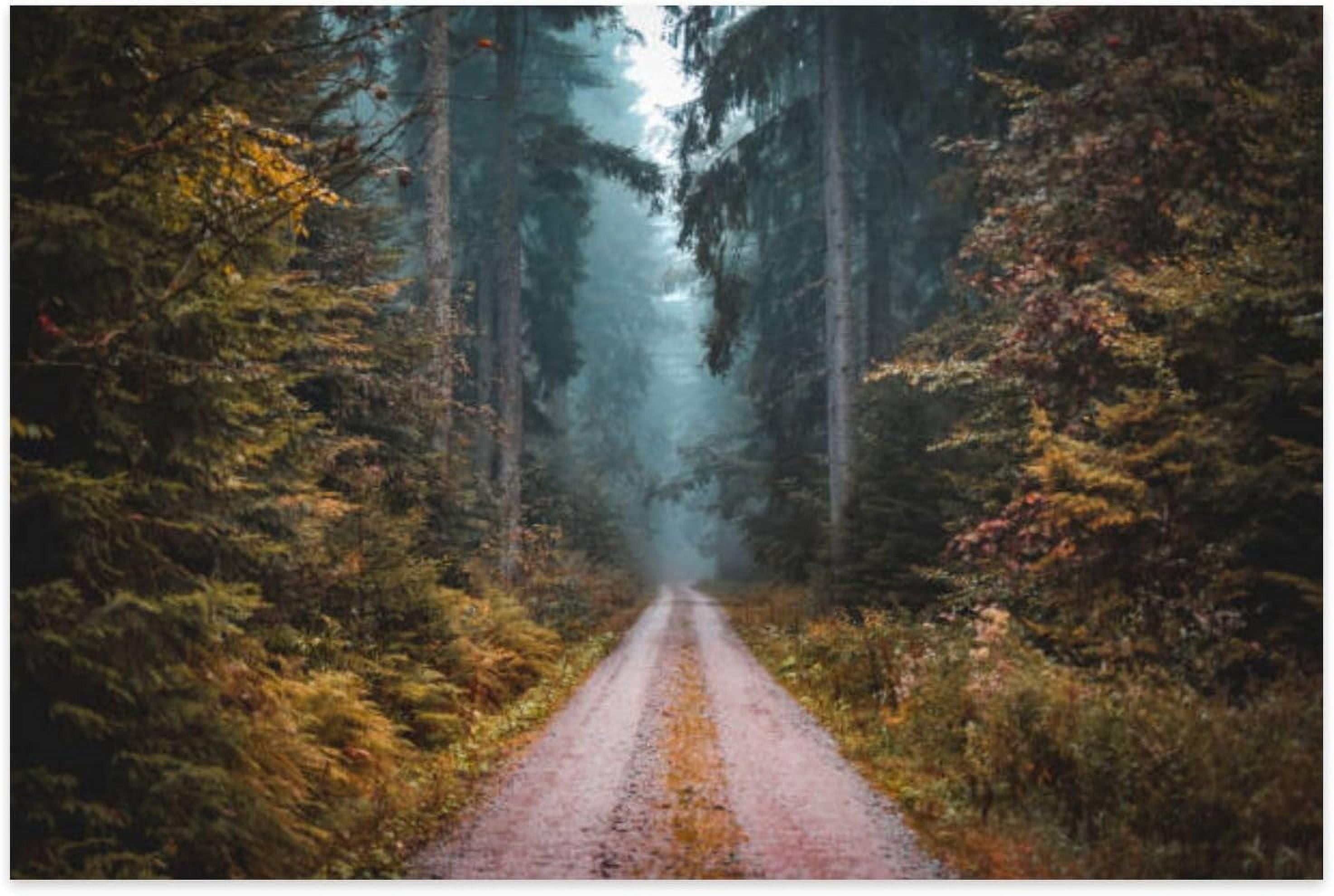 Jigsaw Puzzles 300 Pieces for Adult Forest Footpath Road Backgrounds ...