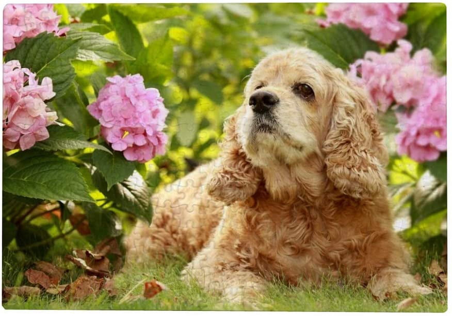 Jigsaw Puzzles 500 Pieces for Adults - English Cocker Spaniel Dog ...