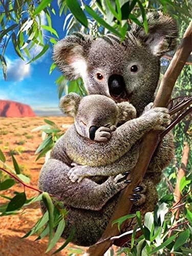 Jigsaw Puzzles 500 Pieces Koala Family School Supplies Challenge ...