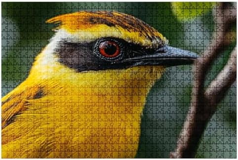Jigsaw Puzzles 500 Pieces for Adult Great Kiskadee Looking Backwards ...