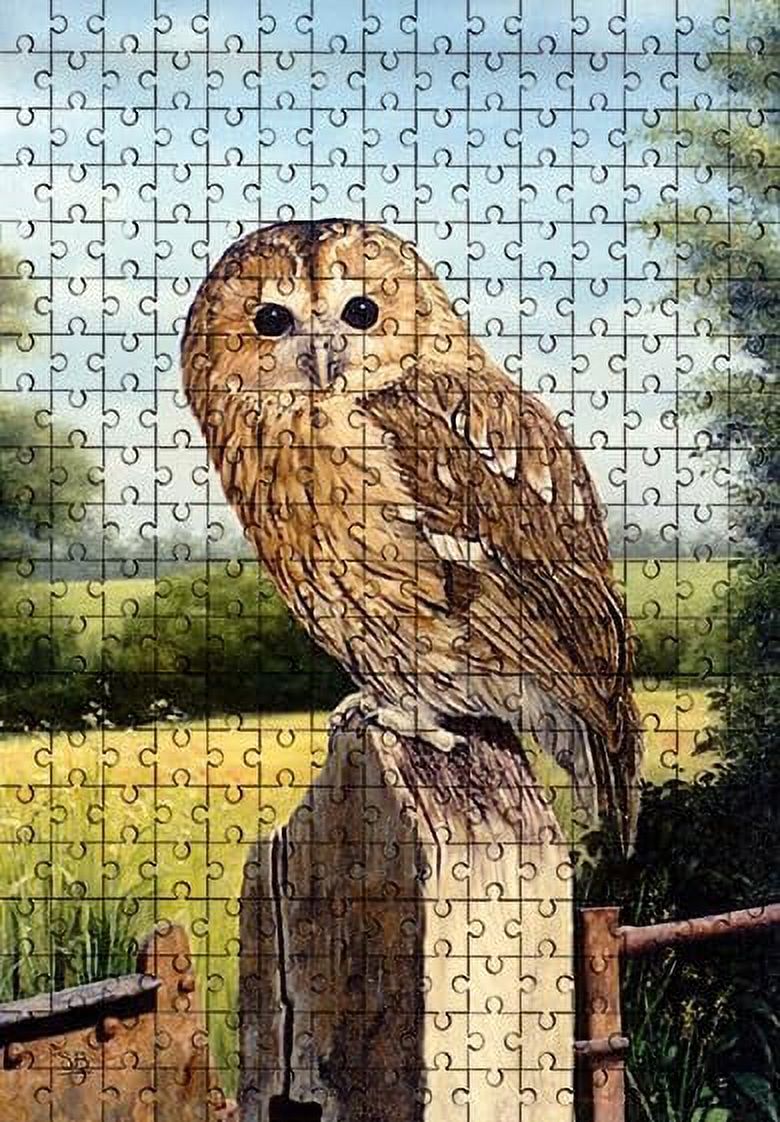 Jigsaw Puzzles for Adults 1000 Pieces Meadow Owl Wooden Puzzle ...