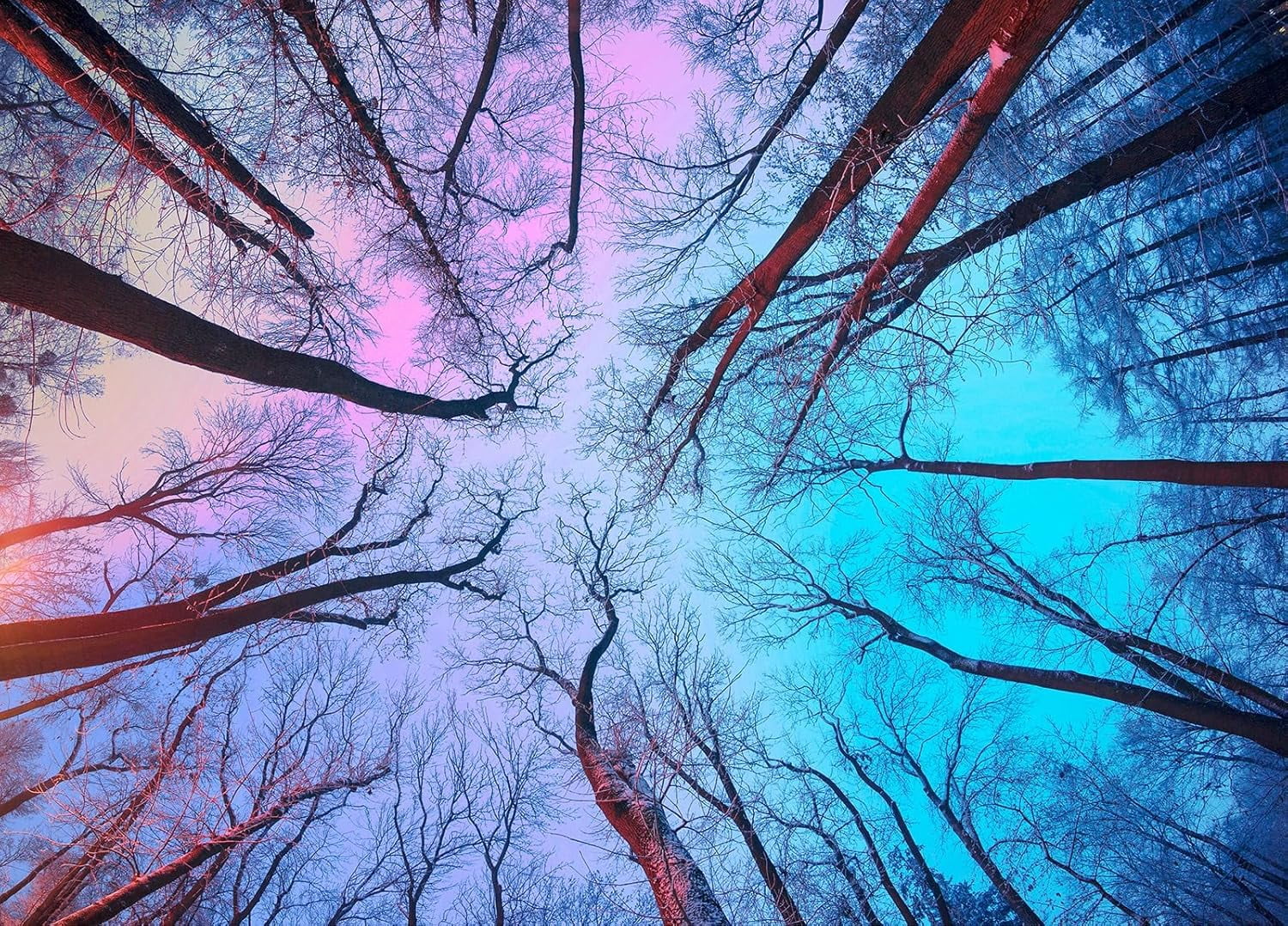 Jigsaw Puzzles for Adults 300 Pieces, Tree at Night Interlock Perfectly ...