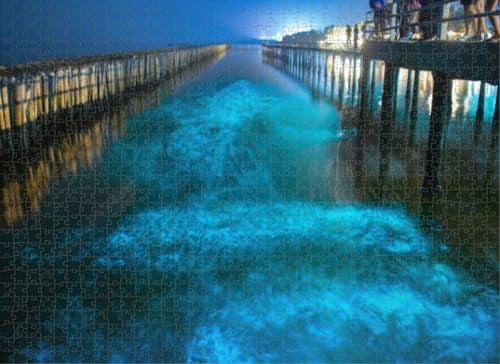 Jigsaw Puzzles for Adults Hard Challenging Difficult Family Cool Large ...