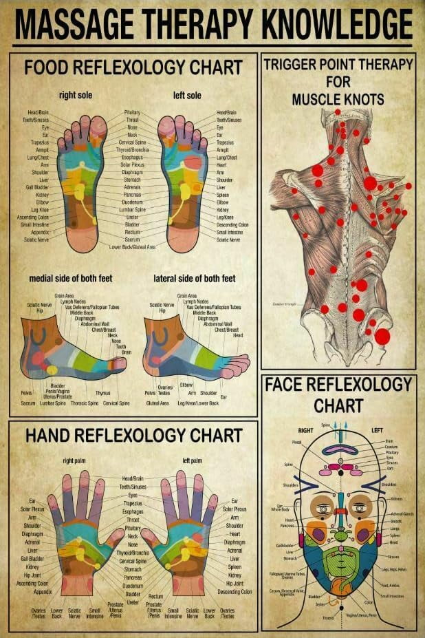 Jigsaw Puzzles for Adults Massage Therapy Knowledge Foot Reflexology ...