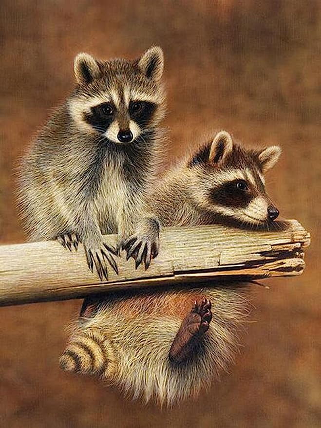 Jigsaw Puzzles Animal Cute Raccoon 500 Piece Jigsaw Puzzle challenging ...