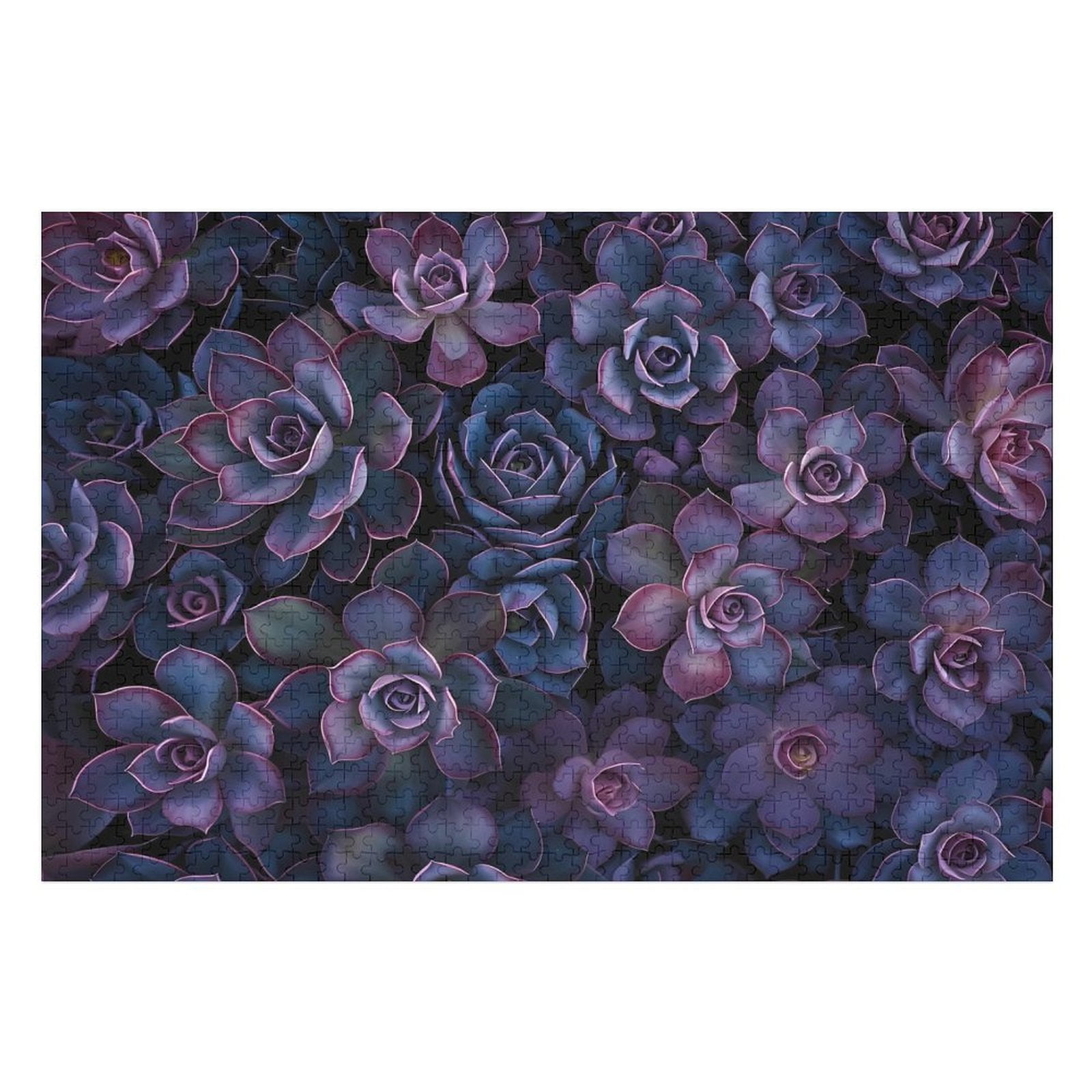 Jigsaw Puzzles - Cluster of Dark Purple Succulent Plants Creating A ...