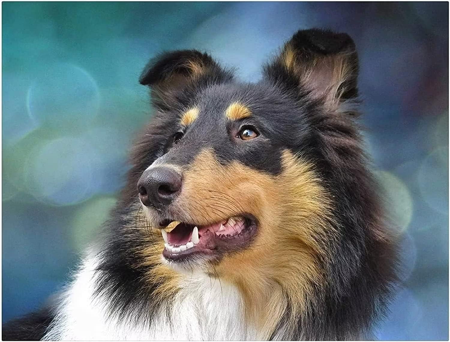 Jigsaw Puzzles Collie Wooden Jigsaw Puzzles for Adults Hd Quality Photo ...