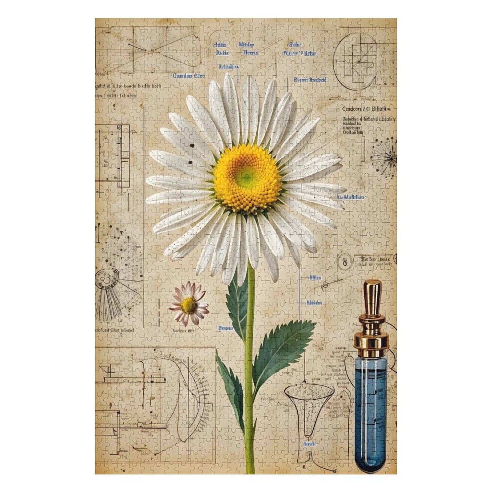 Jigsaw Puzzles - Daisy Flower on A Background of Scientific Diagrams ...
