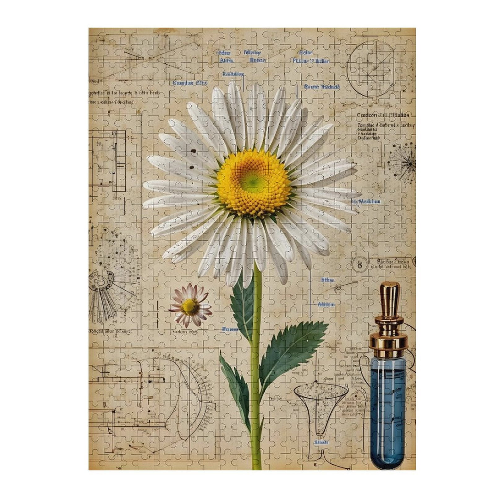 Jigsaw Puzzles - Daisy Flower on A Background of Scientific Diagrams ...