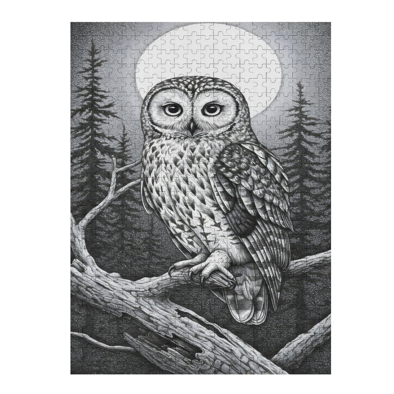 Jigsaw Puzzles - A Detailed Black - And - White Illustration of An Owl ...