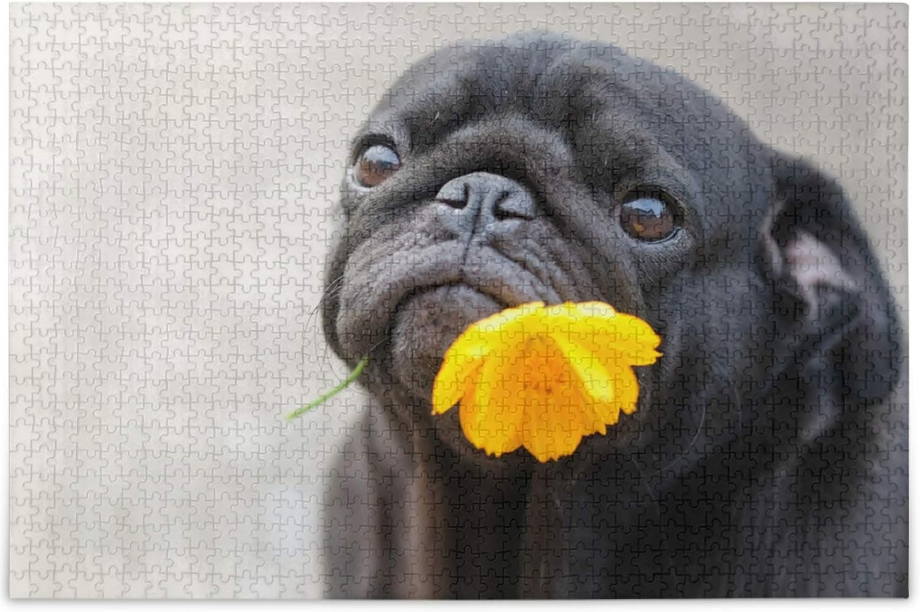 Jigsaw Puzzles Funny Pug Dog Marigold Flower Wooden Puzzles for Adults ...