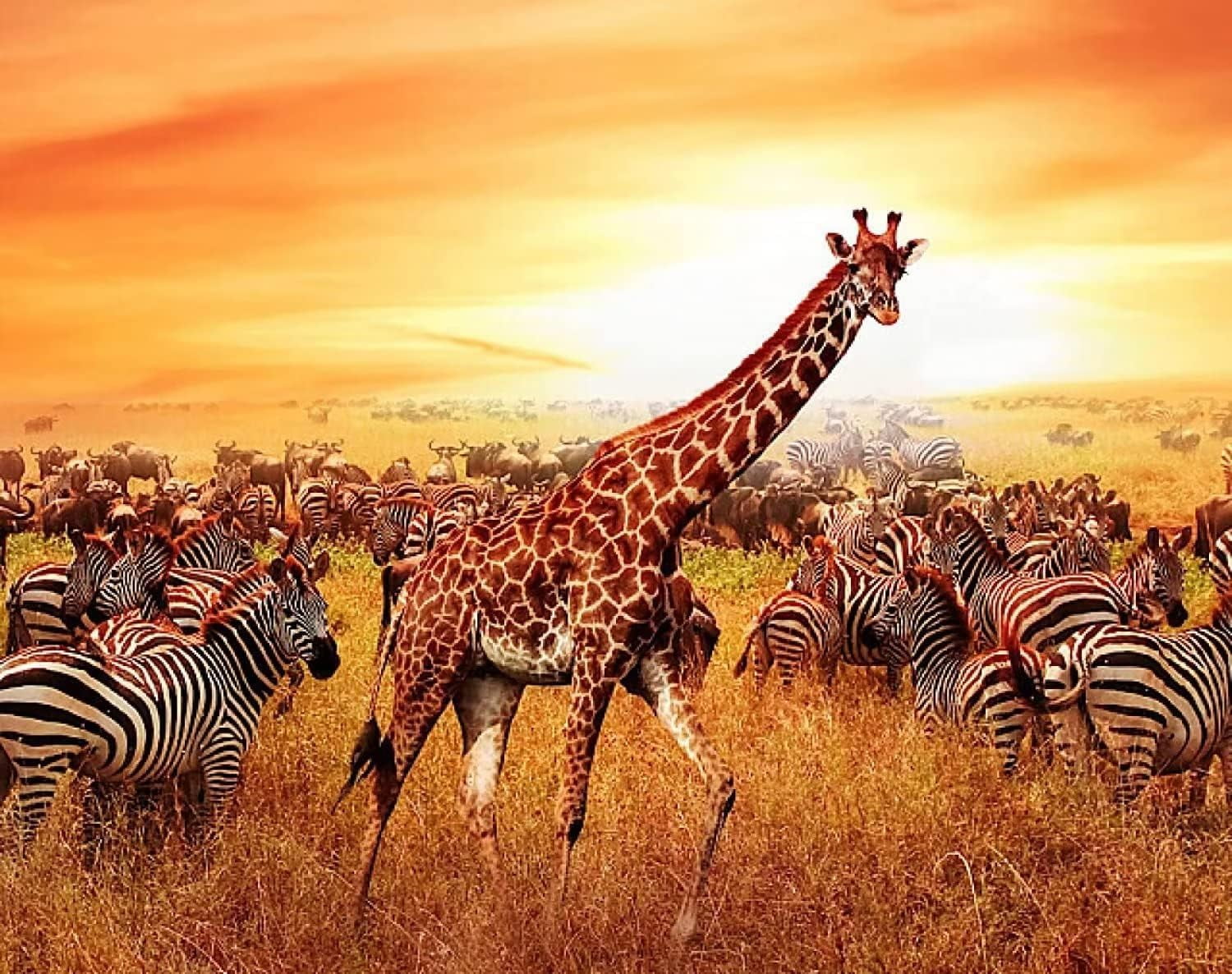 Jigsaw Puzzles Savannah Giraffe Family Cardboard Puzzles Brain ...