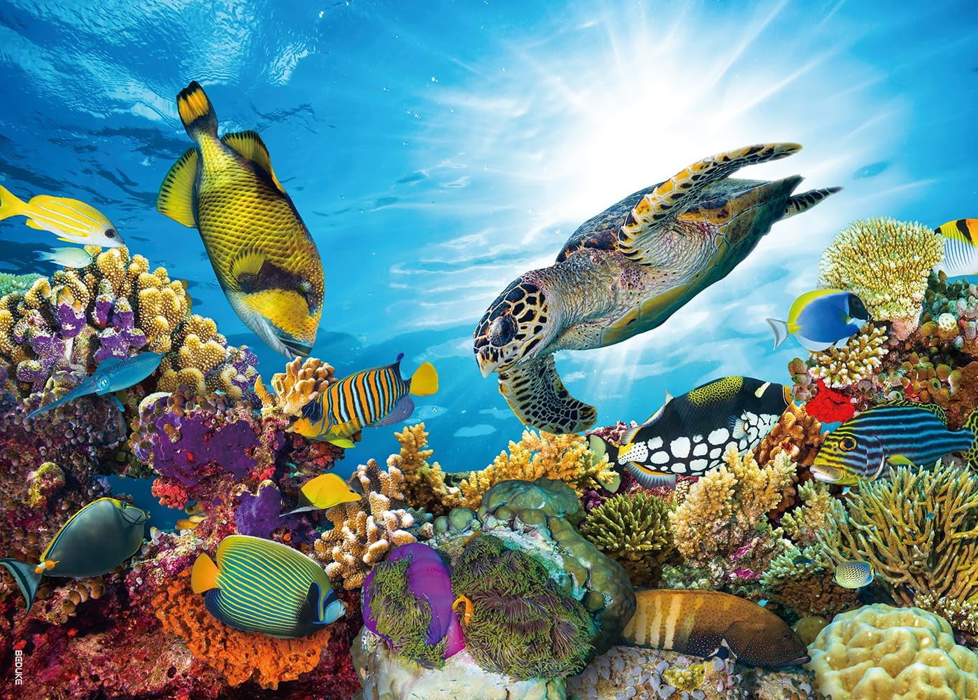 Jigsaw Puzzles for Adults 500 Pieces Ocean Animals Thick Sturdy ...