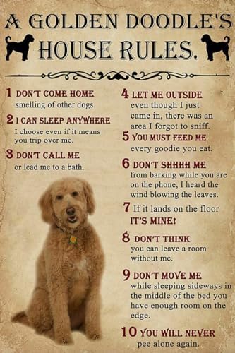 Jigsaw Puzzles for Adults A Golden Doodle House Rules 1000 Pieces ...