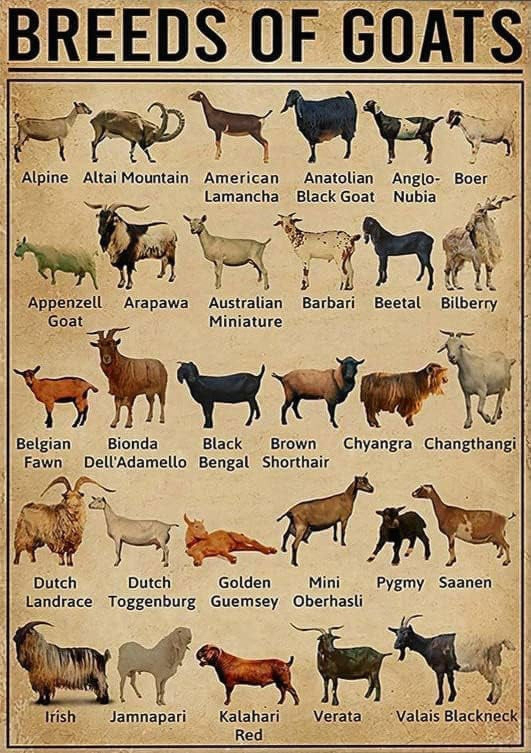 Jigsaw Puzzles for Adults Breeds of Goats 500 Pieces Wooden Jigsaw ...