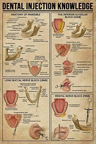 Jigsaw Puzzles for Adults Dental Injection Knowledge 300 Pieces Wooden ...