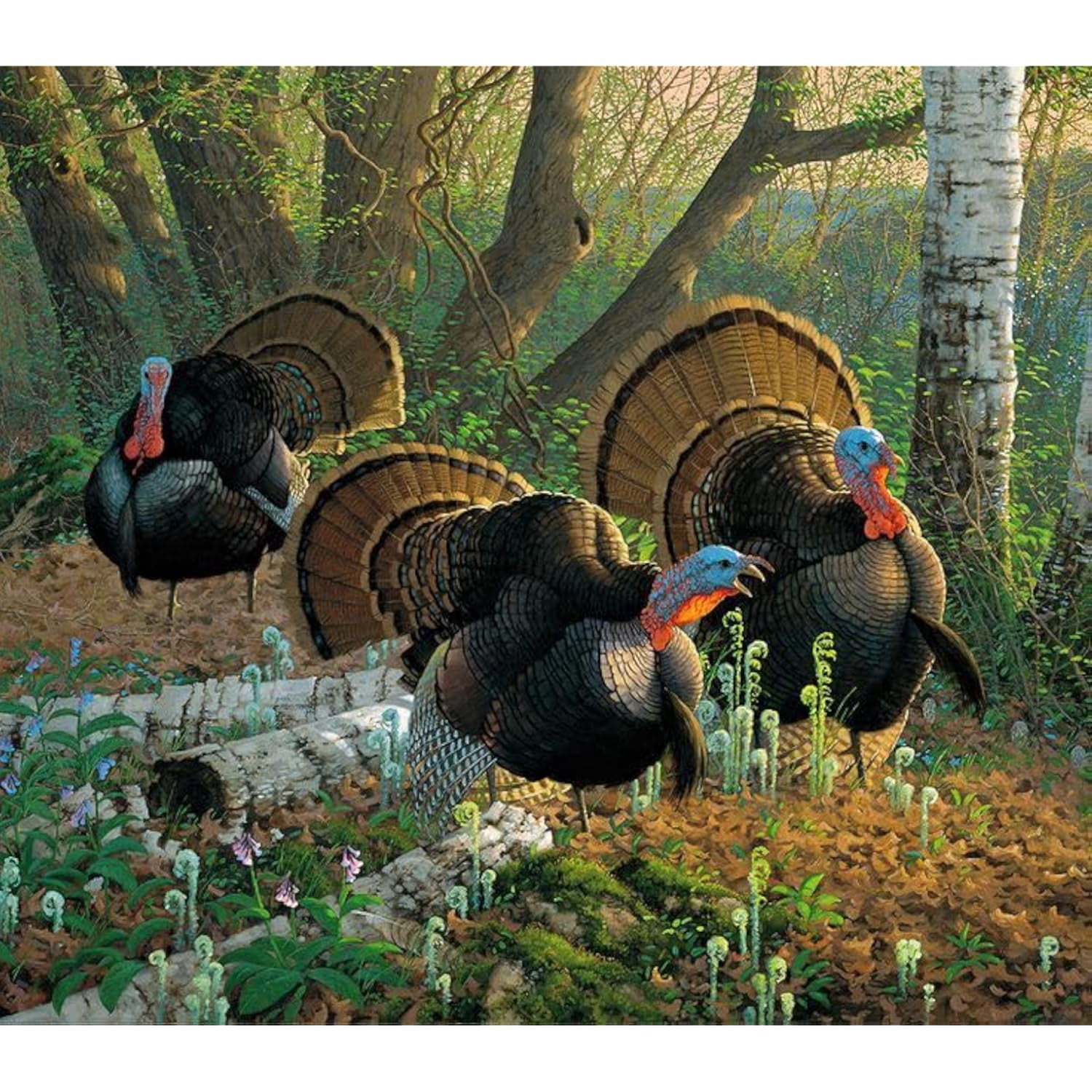 Jigsaw Puzzles for Adults Digital Wild Turkey Nature Scene 1000 Pieces ...