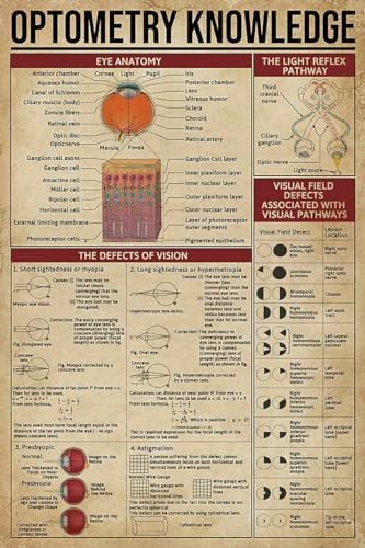 Jigsaw Puzzles for Adults Optometry Knowledge 500 Pieces Wooden Jigsaw ...
