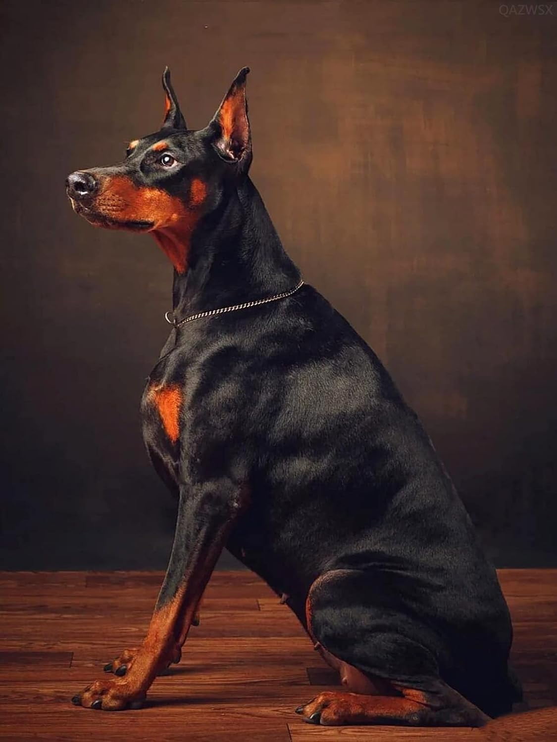 Jigsaw Puzzles300 Pieces for Adults Cute Doberman Pinscher Dog Wooden ...