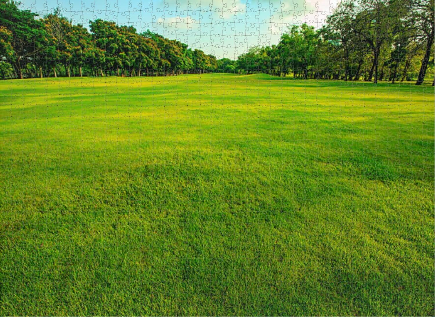 Jigsaw Wooden puzzle 1000 pieces Grass Lawn Green Color Open Land ...