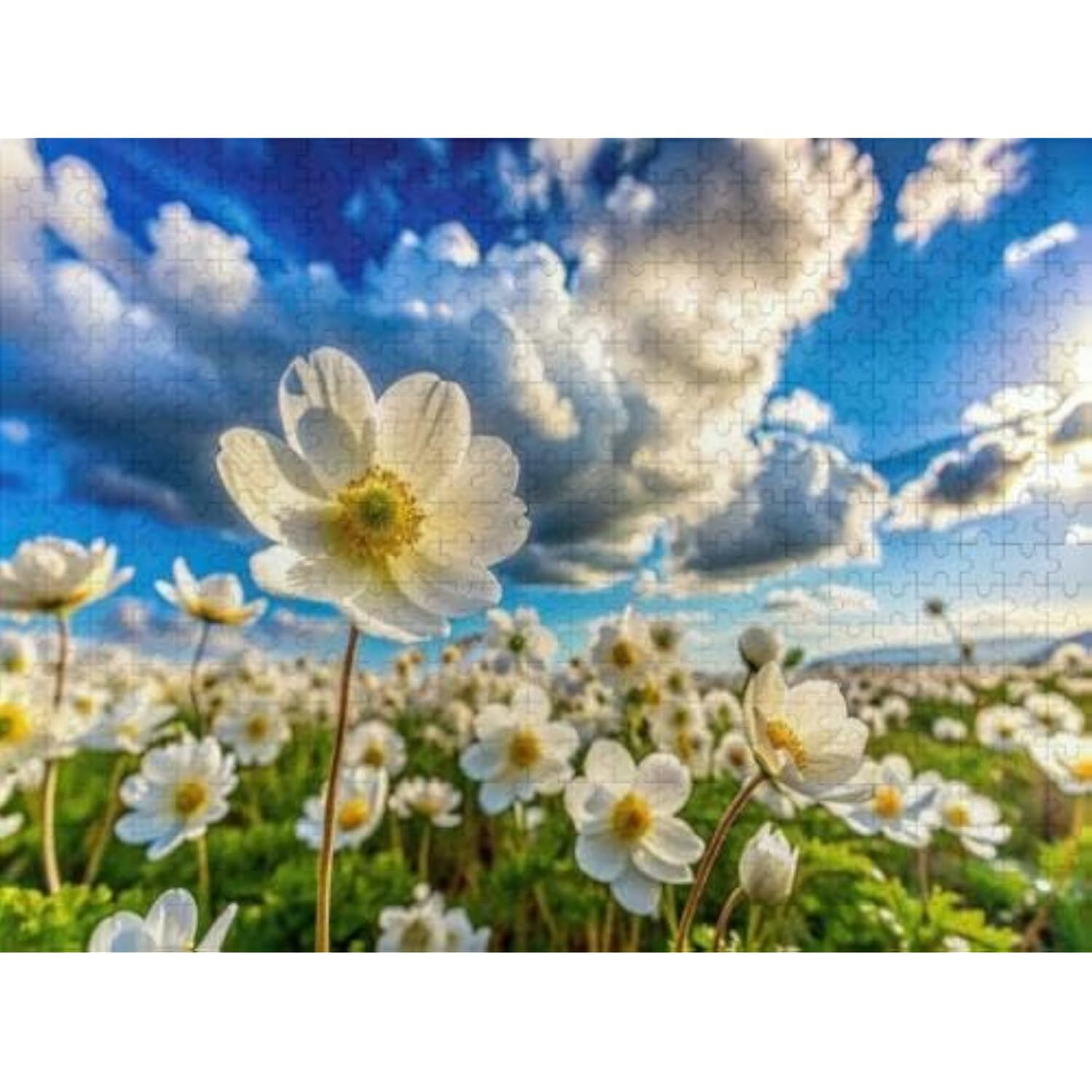 Jigsaw Wooden puzzle 1000 pieces Macro Landscape White Flowers and Sky Clouds Puzzle for Adults ...